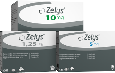 ZELYS 10 MG 96 COMP MASTIC
