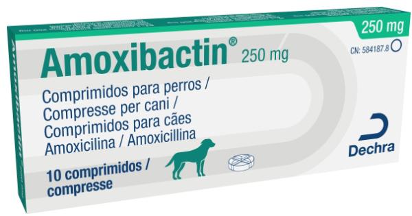 AMOXIBACTIN 250 MG 10 COMP