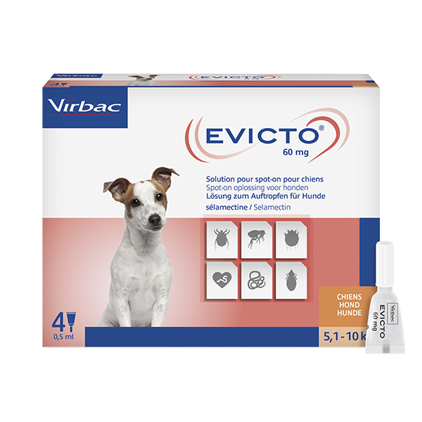 EVICTO 60 MG PERROS 5,1-10 KG 4 PIP